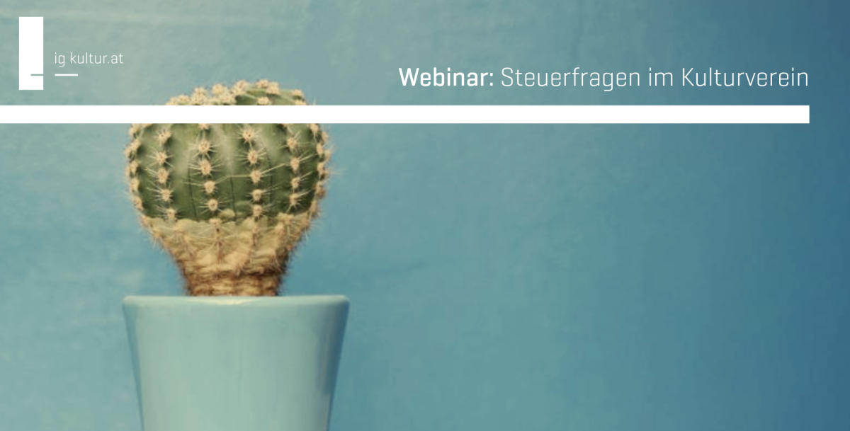 Webinar: Steuerfragen im Kulturverein - Fokus international | IG Kultur Steiermark